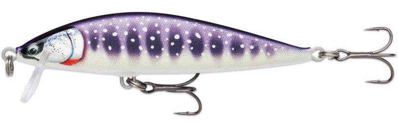 RAPALA COUNTDOWN ELITE CDE 95 (4 inch) GDIW color (sinking) – Darkagelures