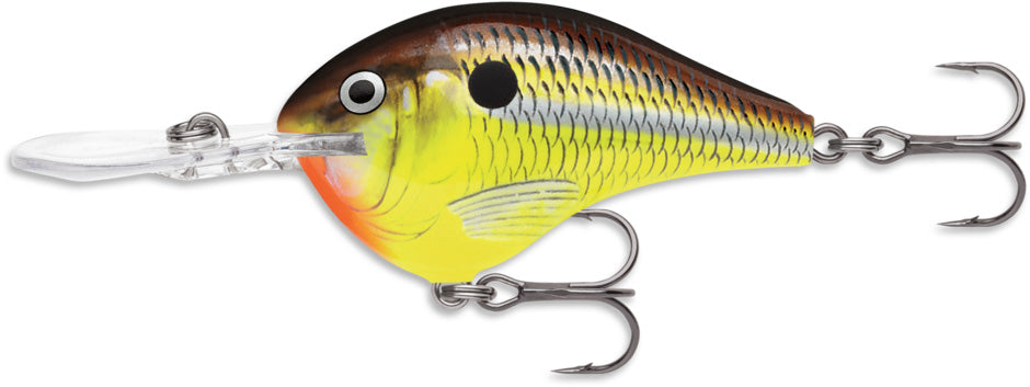 RAPALA DIVES TO 8 Ft DT8 HM (Hot Mustard) color – Darkagelures