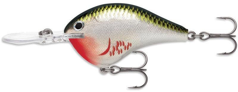 RAPALA DIVES TO 8 Ft DT8 BOS (Bleeding Olive Shiner) color – Darkagelures