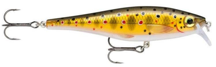 RAPALA BX MINNOW BXM 10 TR (Trout) color – Darkagelures