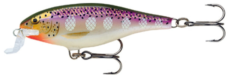 RAPALA SHALLOW SHAD RAP SSR 7 cm PD (Purpledescent) color – Darkagelures