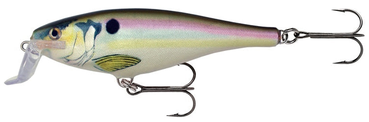RAPALA SUPER SHAD RAP SSR 14 cm RSL (Live River Shad) color – Darkagelures