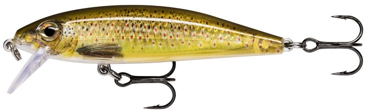 RAPALA X RAP COUNTDOWN XRCD 5 cm TRL (Live Trout) color – Darkagelures