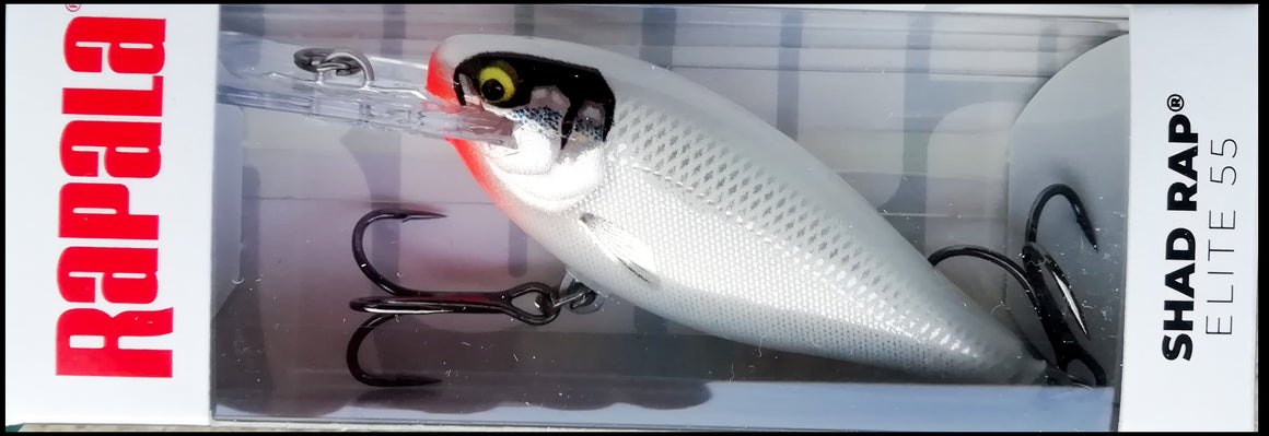 RAPALA SHAD RAP ELITE SRE 55 5,5 cm GDGGH (Gilded Glass Ghost ...