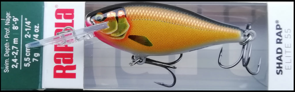 RAPALA SHAD RAP ELITE SRE 55 5,5 cm GDGS (Gilded Gold Shad) color ...