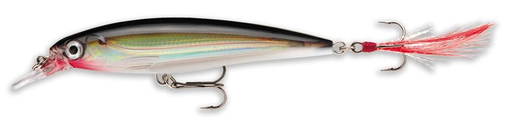 RAPALA X RAP XR 8 cm S (Silver) color – Darkagelures